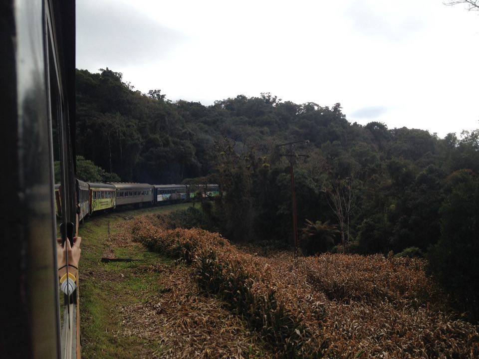 Passeio de trem de Curitiba a Morretes: o que você precisa saber